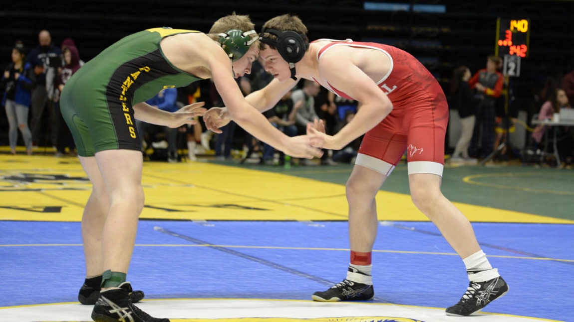 Alaska School Activities Association Region V